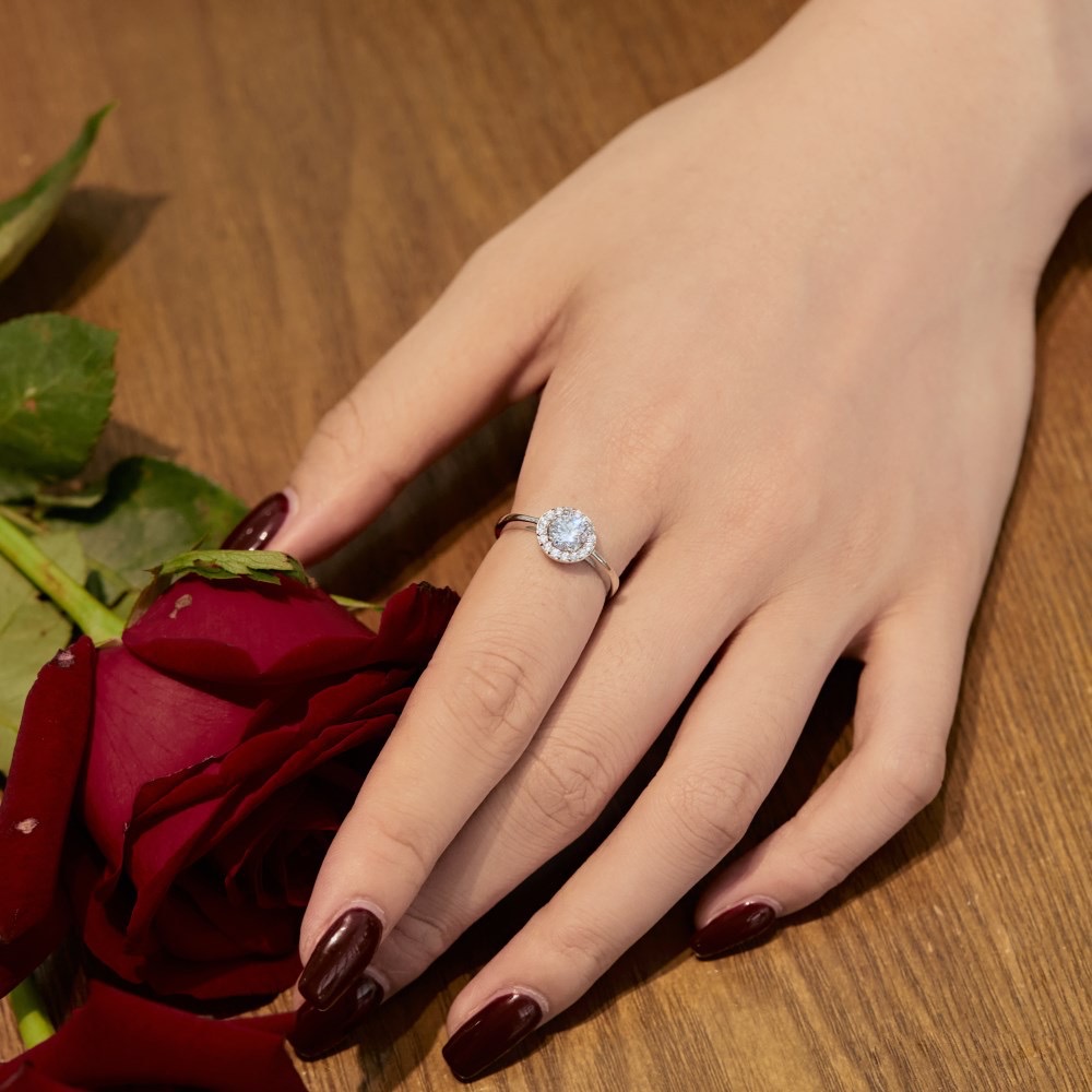 Round Halo Diamond Simulants Engagement Ring – QNORA™